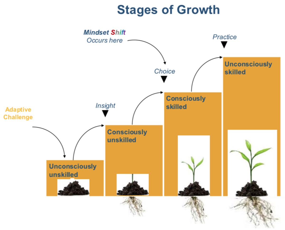 The Sowers model stages of growth – Great Leadership + Productive AI ...